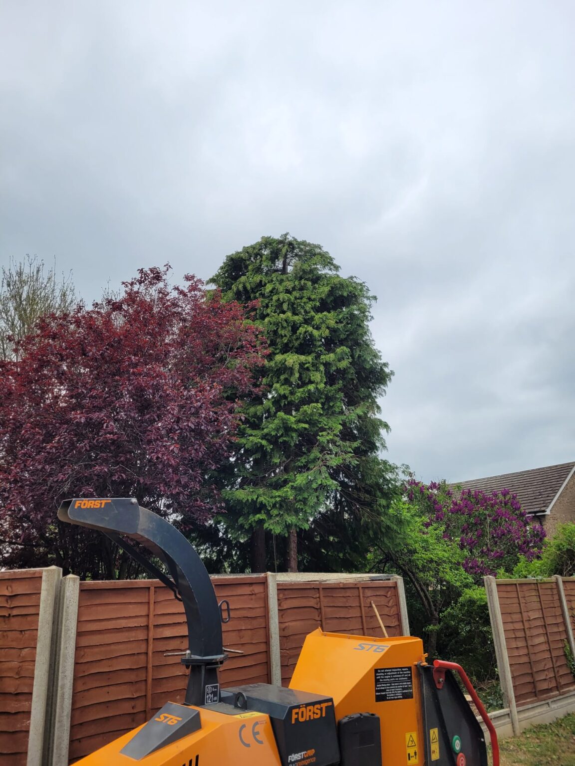 Commercial Services - Canopy Tree Specialists